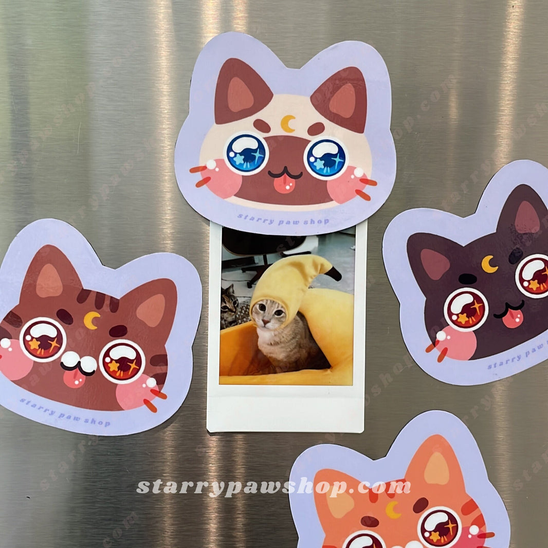 magical gifts from Starry Paw Shop